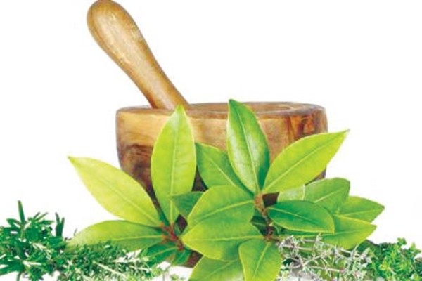 ಧರೆ ಹತ್ತಿ ಉರಿದೊಡೆ ನಿಲಬಹುದೆ? ಇನ್ನಾರಿಗೆ ದೂರುವೆನಯ್ಯಾ?