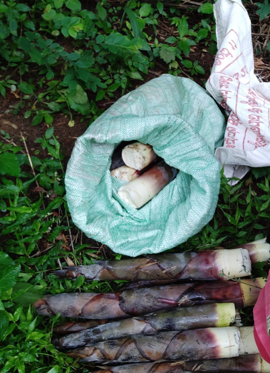 Bidirina kalale - ವಿಜಯವಾಣಿ