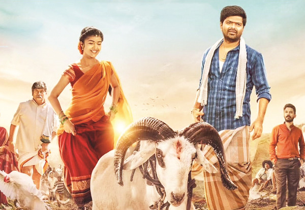 Tagaru Palya Review ; ಹರಕೆ, ಆಚರಣೆ ಸುತ್ತ ಸಂಬಂಧಗಳ ಅನಾವರಣ