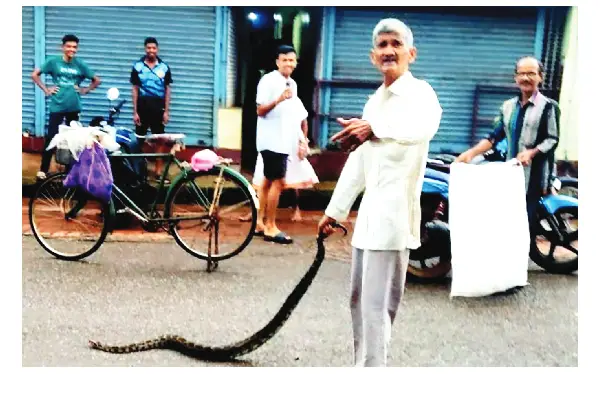 ಮನೆಗೆ ಬಂದ ಹೆಬ್ಬಾವು