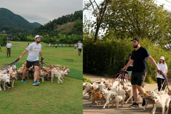 ಏಕಕಾಲದಲ್ಲಿ 38 ನಾಯಿಗಳ ಜತೆ ವಾಕಿಂಗ್! ಈ ಮೂಲಕ ವಿಶ್ವದಾಖಲೆ ನಿರ್ಮಿಸಿದ Animal Lover